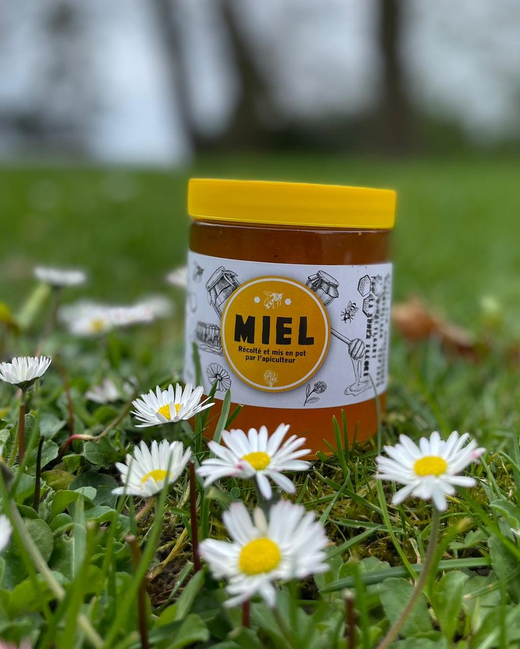 Miel naturel 500g Bruxelles, 100% Belgique-Hoeilaart – La Ruche Fleurie ...